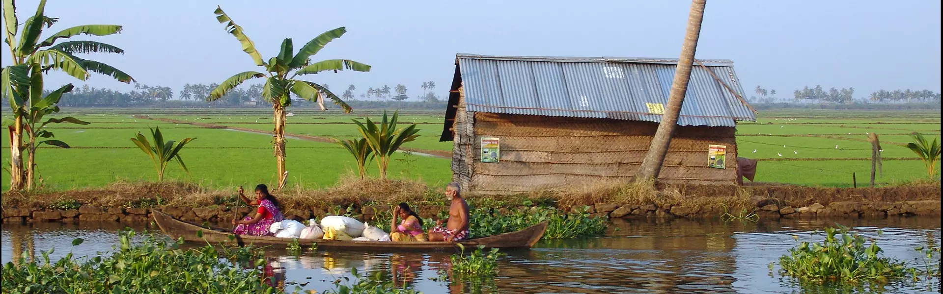 Descubriendo el sur de la India - Mundoexplora